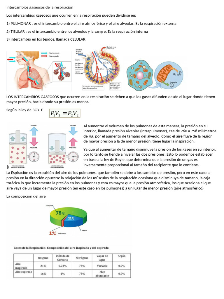 Intercambios gaseosos en la respiración | PDF | Pulmón | Hemoglobina