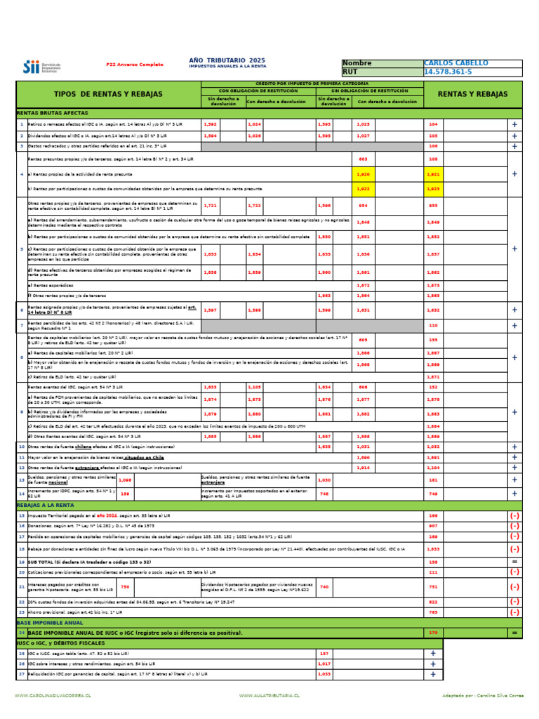 Instrucciones Formulario 22 SII 2025 | PDF | Impuestos | Negocios ...