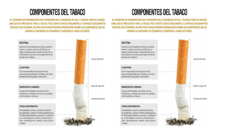 Componentes Del Tabaco | PDF