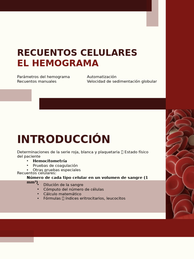 Rtos Celulas | PDF | Leucocito | Sangre