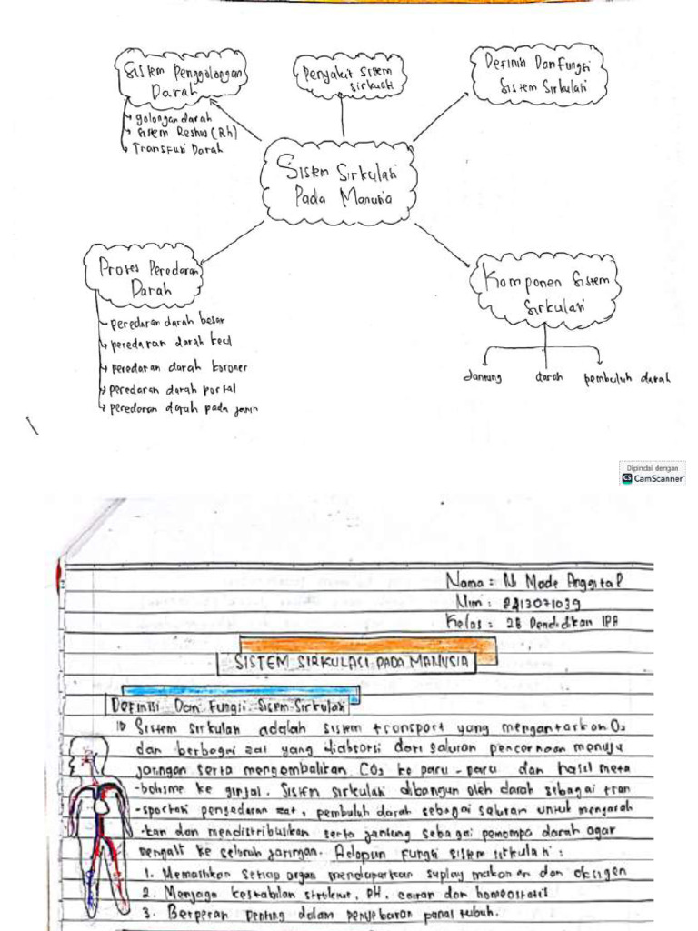 Resume Sistem Sirkulsi&Imun - 039 - Ni Made Anggita - 2B | PDF