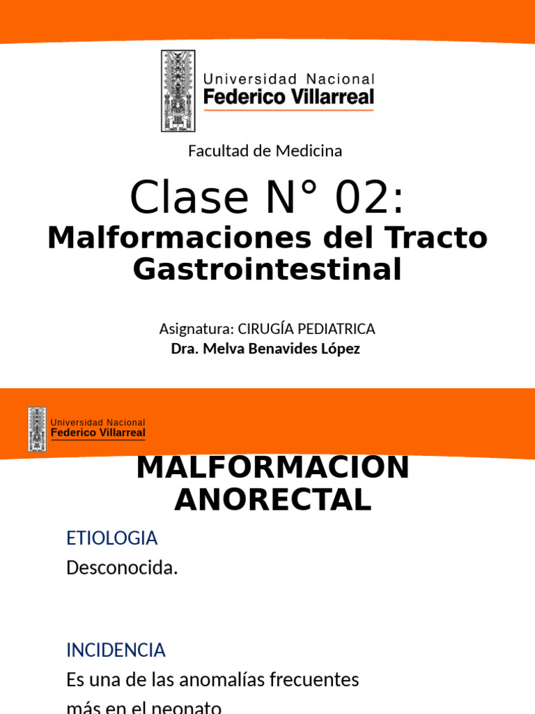 Malformaciones Anorrectales en Neonatos | PDF | Medicina CLINICA | Anatomía