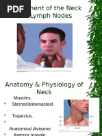 Cervical Lymph Node Mapping Guide | PDF