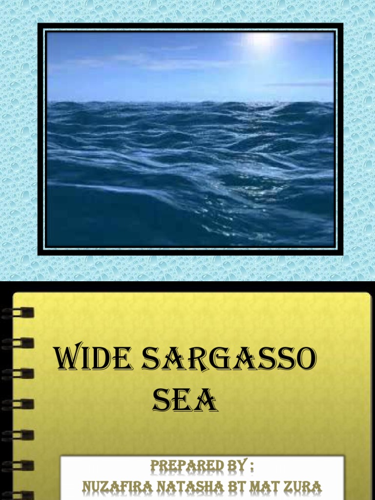 A SEA OF SARGASSO WEED: ANALYSIS OF WIDE SARGASSO SEA | PDF