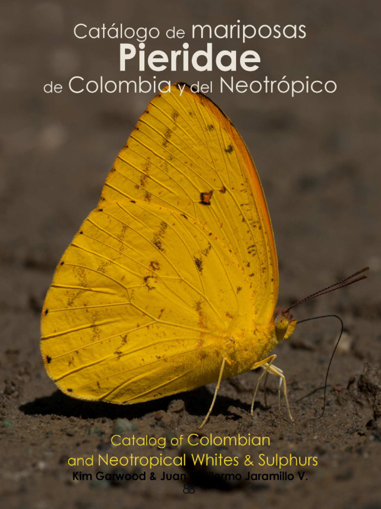 Butterfly Family Pieridae Catalog 2017 May02 1 | PDF | Andes ...