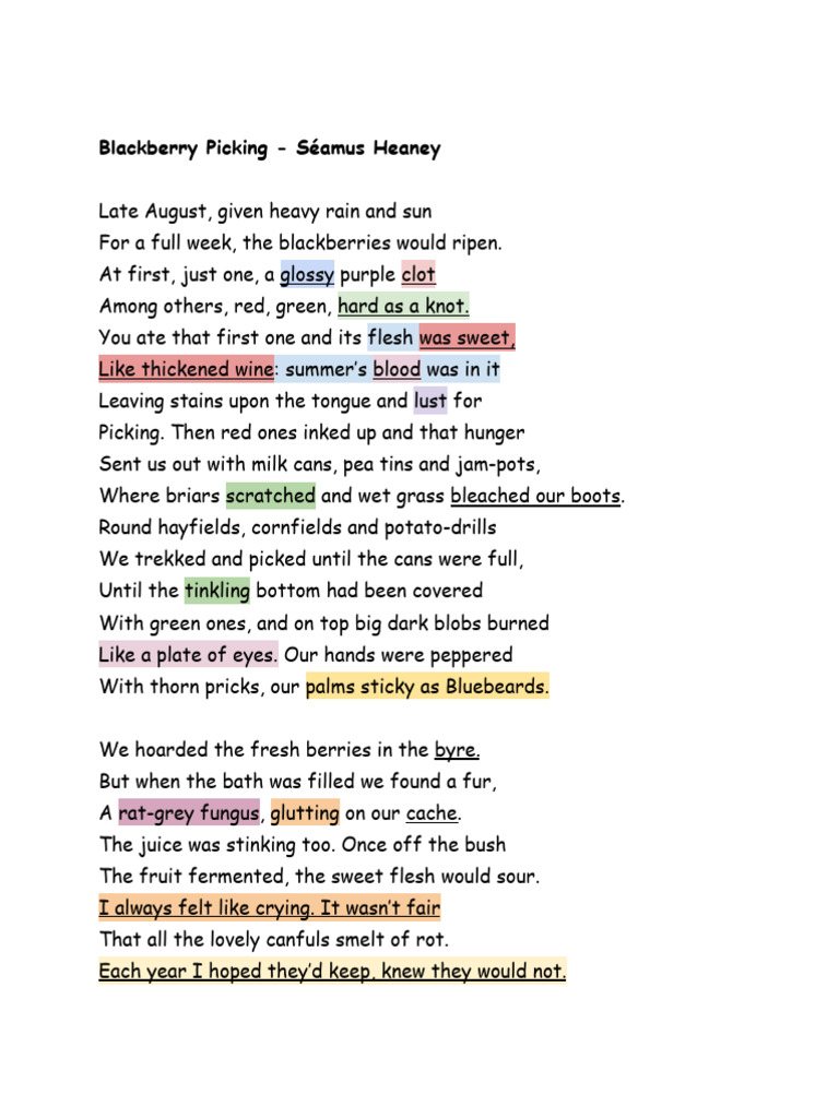 ANNOTATED: English - Blackberry Picking - Seamus Heaney | PDF