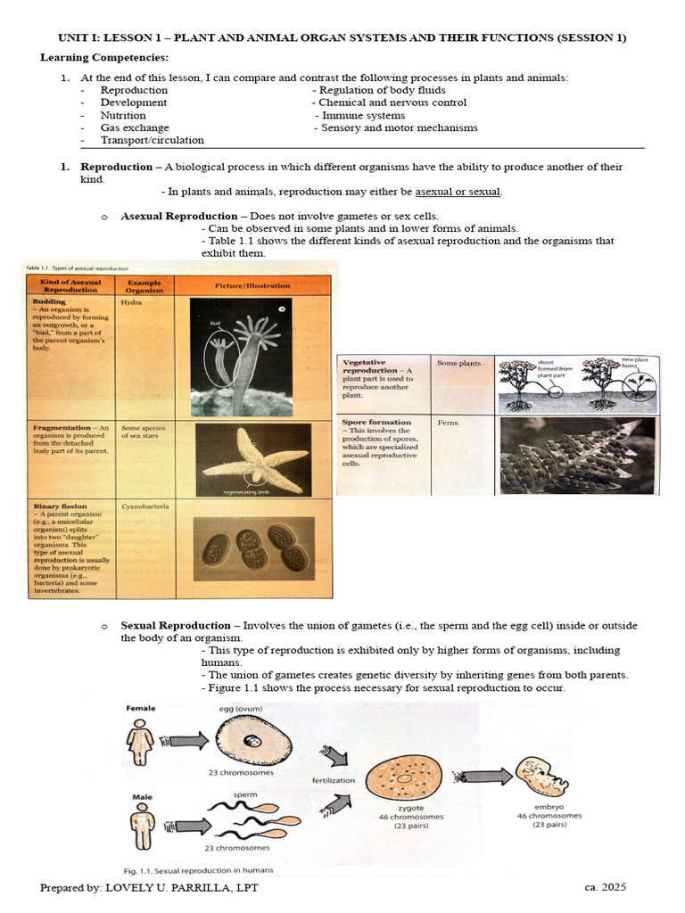 Lesson 1 Session 1 Plant and Animal Organ Systems and Their Functions ...