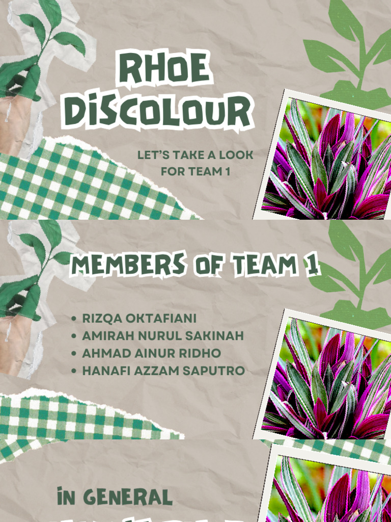 Rhoe Discolour - 20250826 - 165913 - 0000 | PDF
