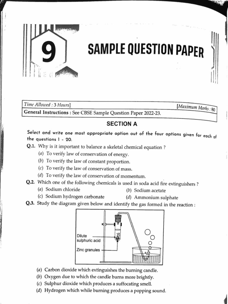 Sample Paper 9th | PDF