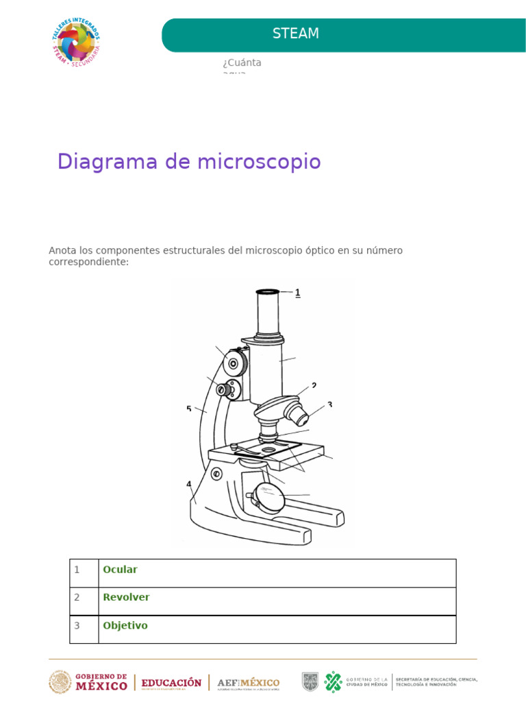 M1 - T4 - Tarea 2. Diagrama de Microscopio (Completo) | PDF
