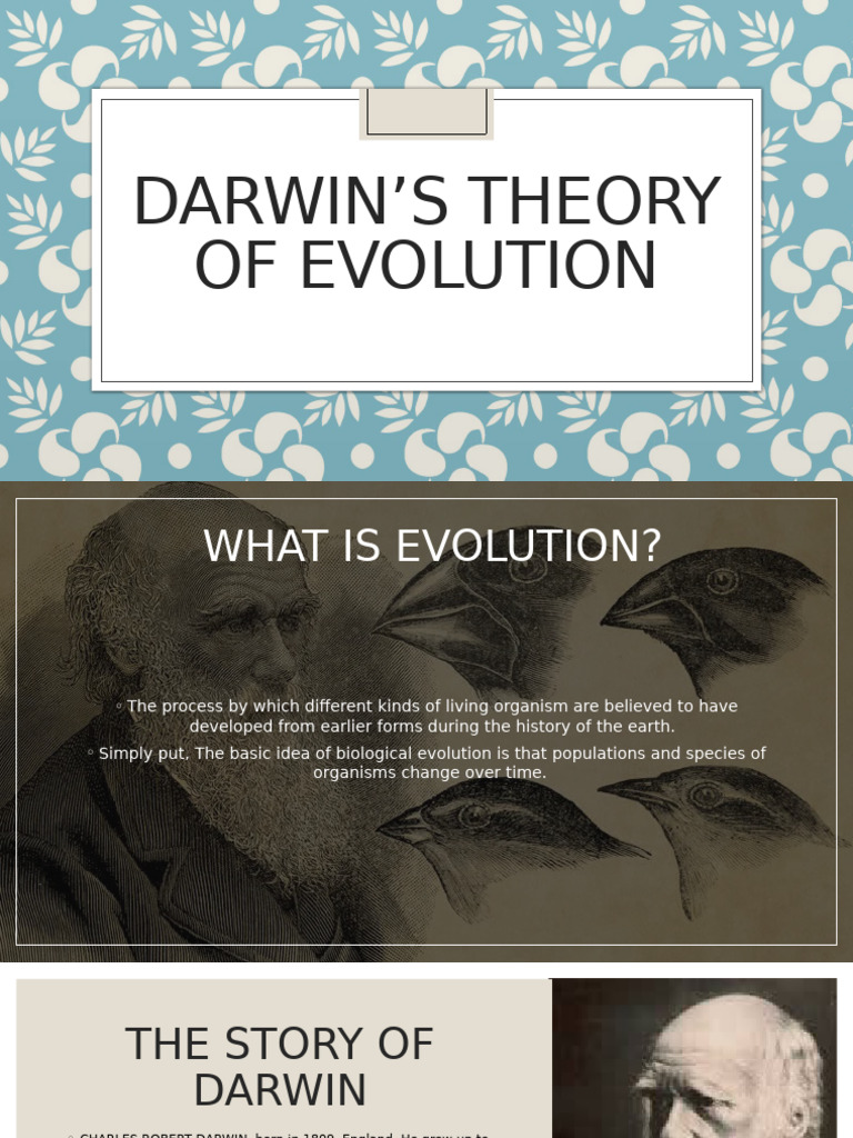 Darwin's Evolution Theory Explained | PDF | Evolution | Natural Selection