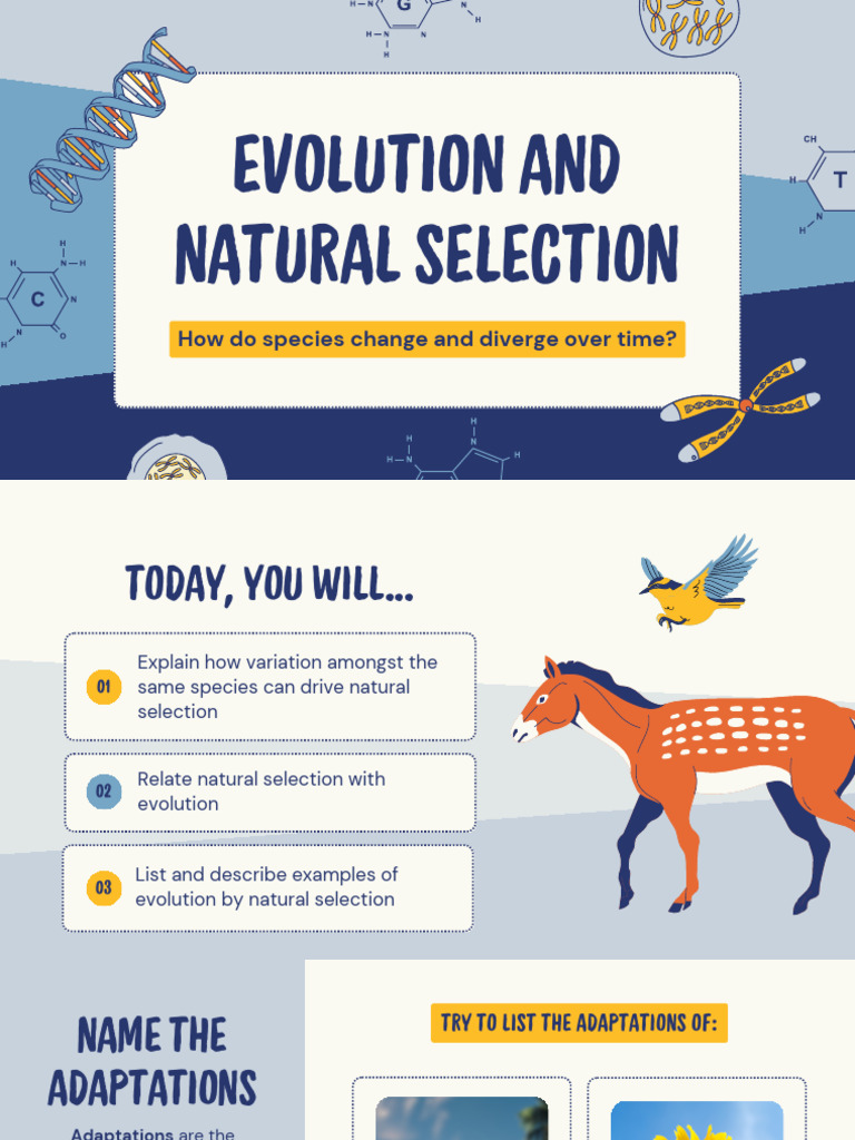 Evolution and Natural Selection | PDF | Natural Selection | Evolution