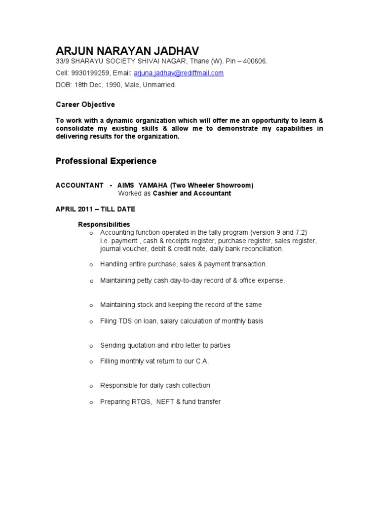 Arjun Narayan Jadhav: Professional Experience | PDF