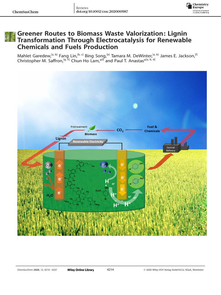 Greener Routes To Biomass Waste Valorization Ligni | PDF | Redox ...