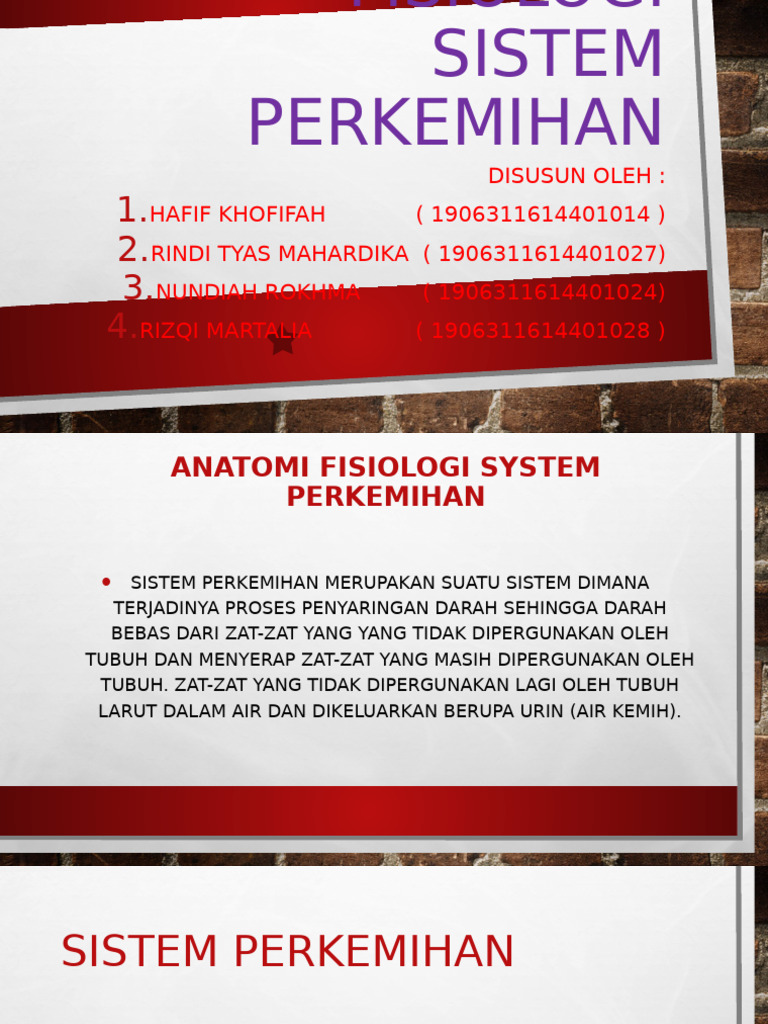 Anatomi Fisiologi Sistem Perkemihan | PDF
