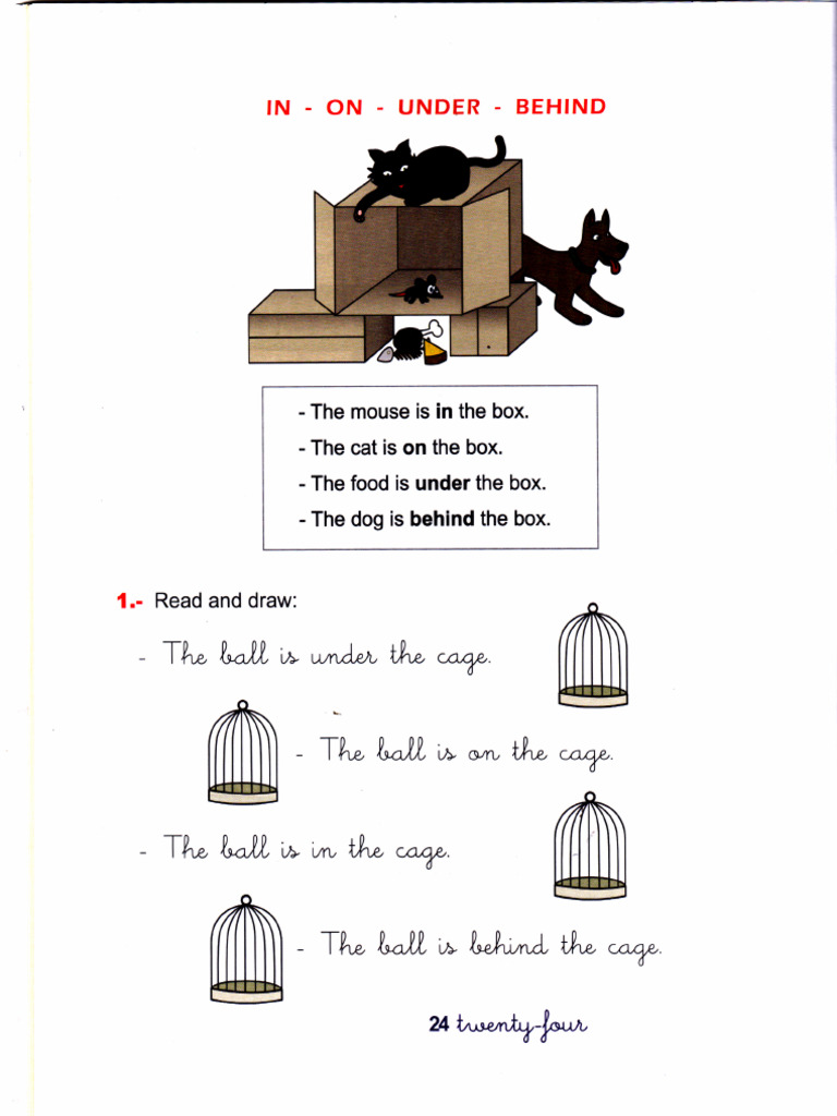 Prepositions and Animals | PDF