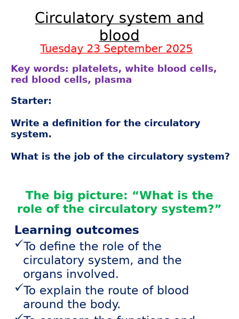 Circulatory System and Blood | PDF | Circulatory System | Blood