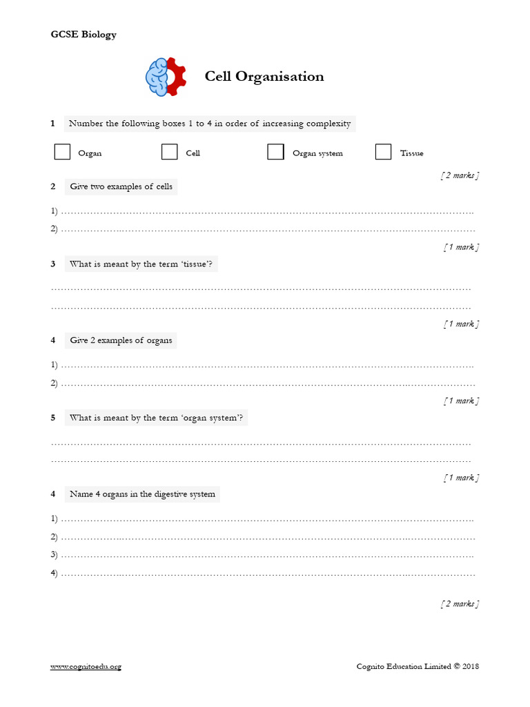 GCSE Biology Cell Organisation 10 Worksheet | PDF | Tissue (Biology ...