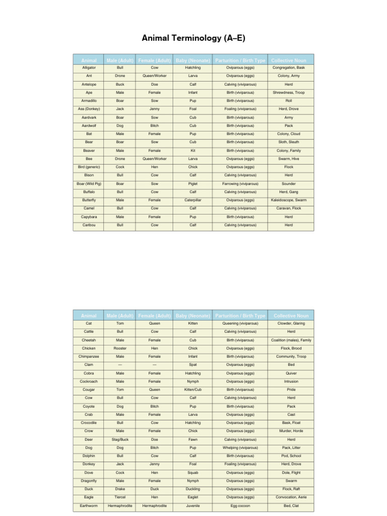 Comprehensive Animal Terminology Guide | PDF | Sheep | Chicken
