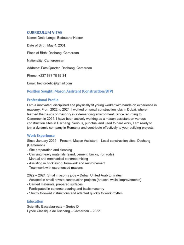 CV Mason Assistant Hector en | PDF