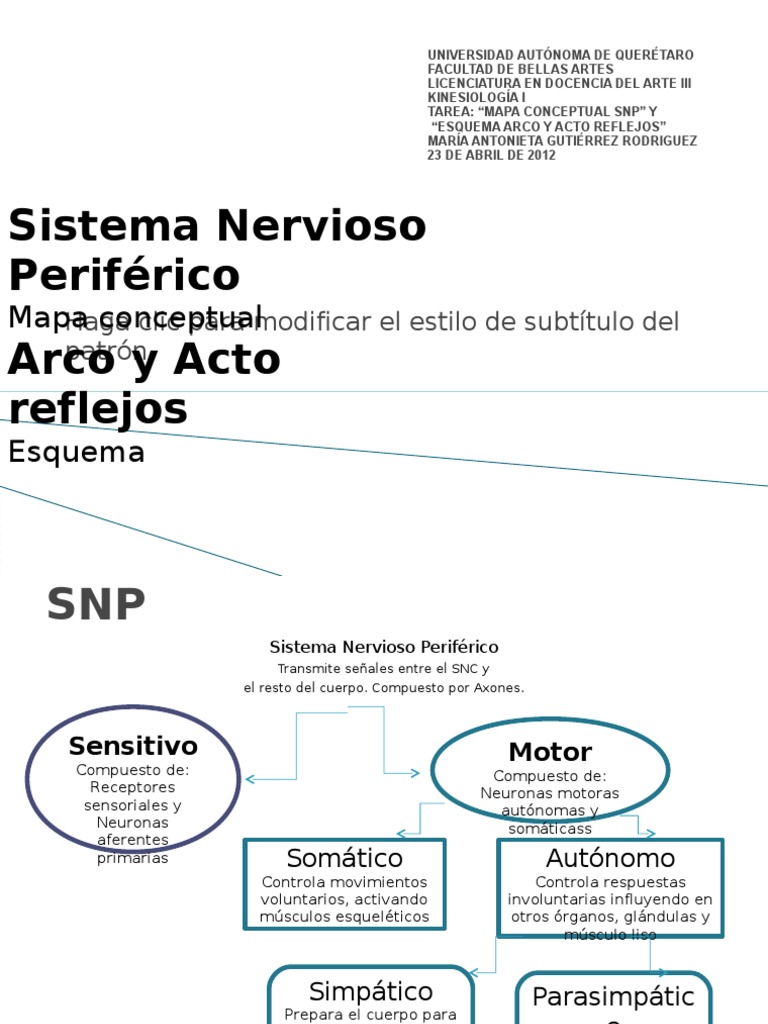 SNP Mapa Conceptual | PDF