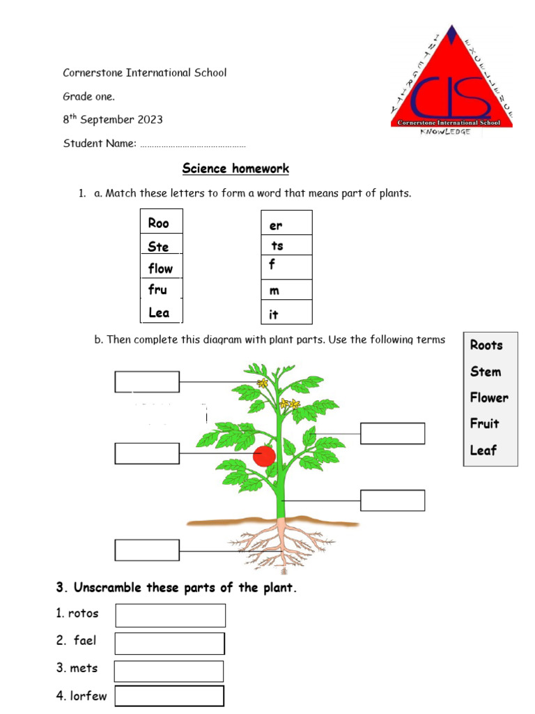 Grade 1 Science Homework: Plant Parts | PDF