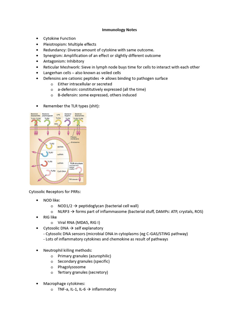 Immunology Notes | PDF | T Cell | Mhc Class I