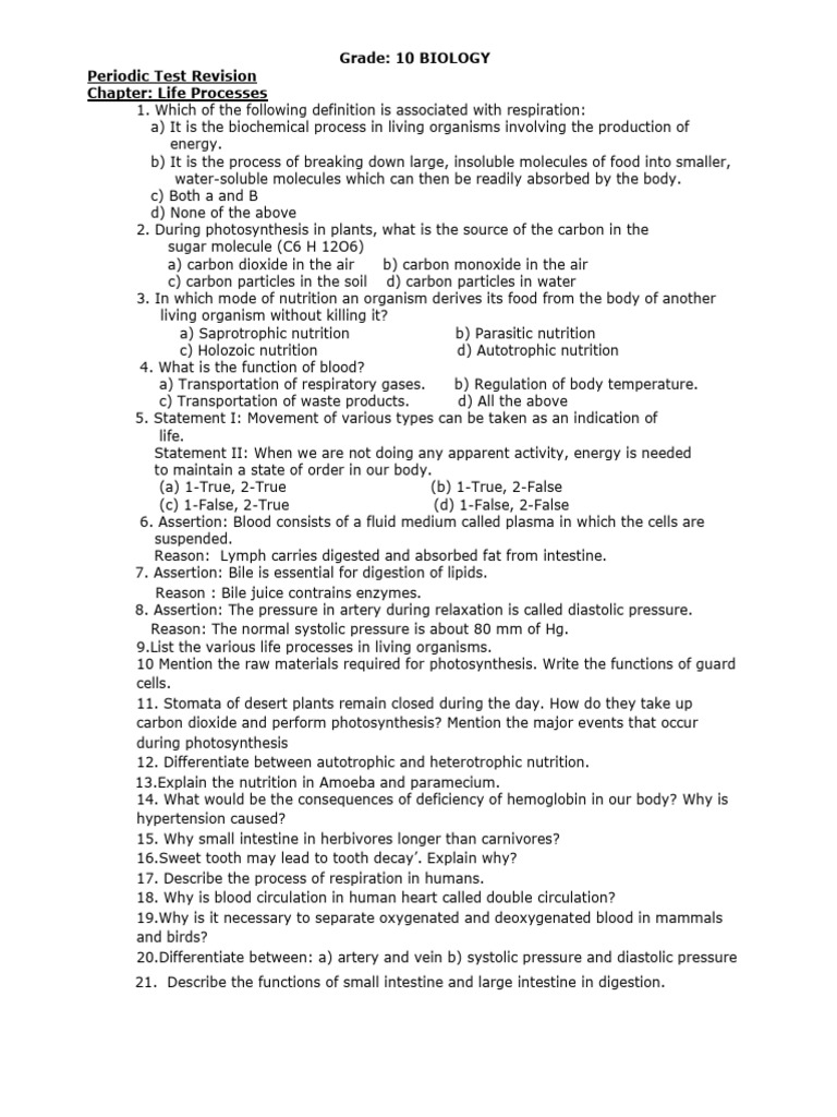 GRD 10 Biology Periodic - Test Revision Worksheet | PDF | Blood | Nutrition