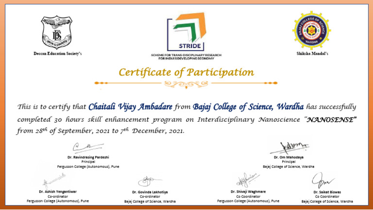 Certificate of Participation: NANOSENSE | PDF