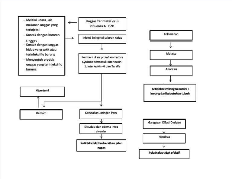 PDF Pathway Flu Burung Compress | PDF