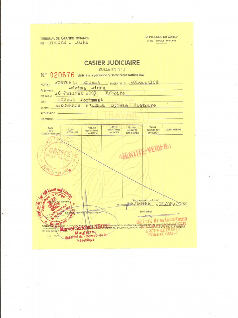 Casier Judiciare | PDF