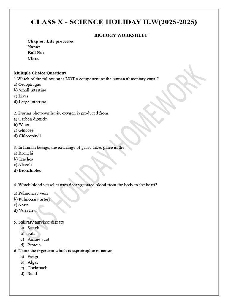 Science Holiday Homework Ws | PDF | Electric Current | Chemical Reactions