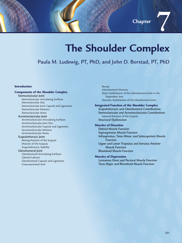 Shoulder | PDF | Shoulder | Anatomical Terms Of Motion