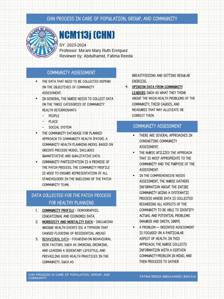 CHN Process for Community Care | PDF