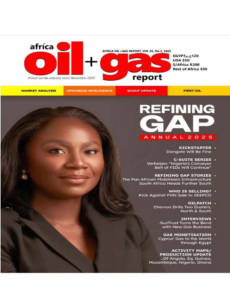 Africa Oil Gas Report 1741625175 | PDF