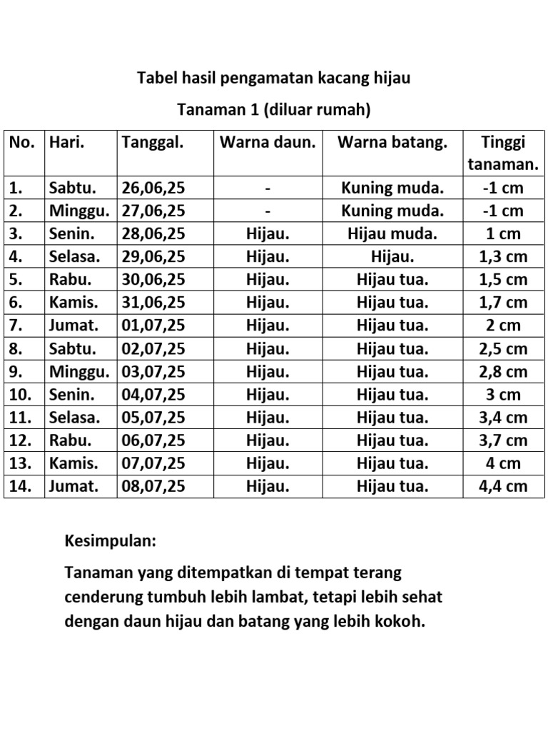 Tabel Hasil Pengamatan Kacang Hijau | PDF