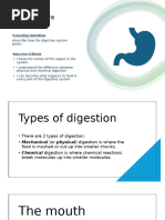 Digestive System Journey Comic Strip | PDF | Biology | Digestive System
