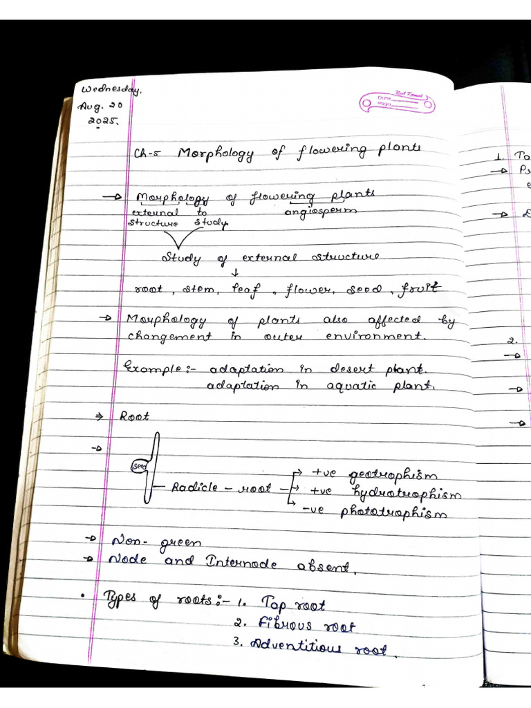Plant Morphology Handwritten Notes | PDF