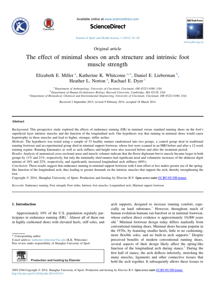 Minimal Shoes On Arch and Foot Strength | PDF | Foot | Musculoskeletal ...