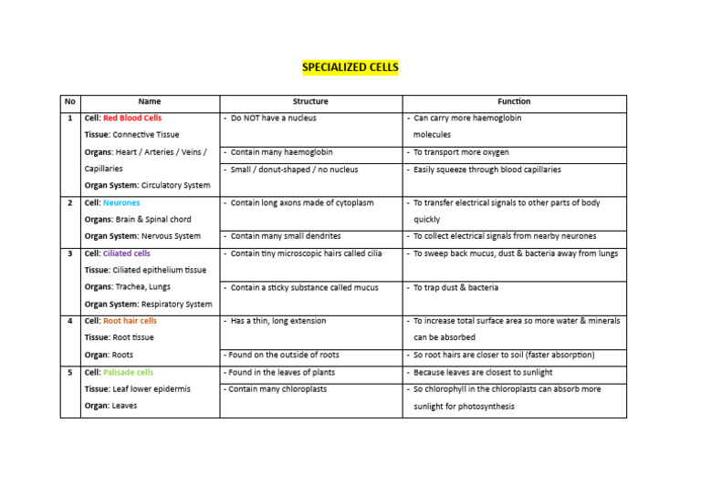 Specialized Cell Types and Functions | PDF