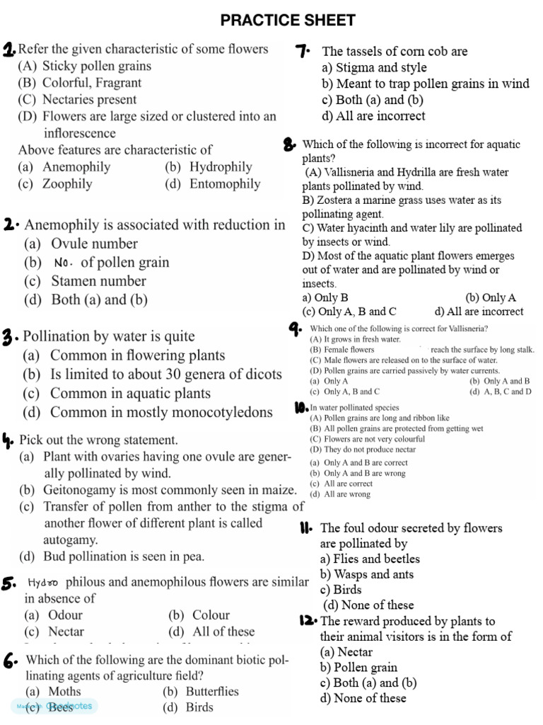 Practice Sheet | PDF