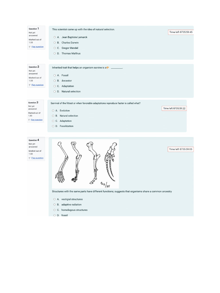 Evolution Practice From Beam | PDF