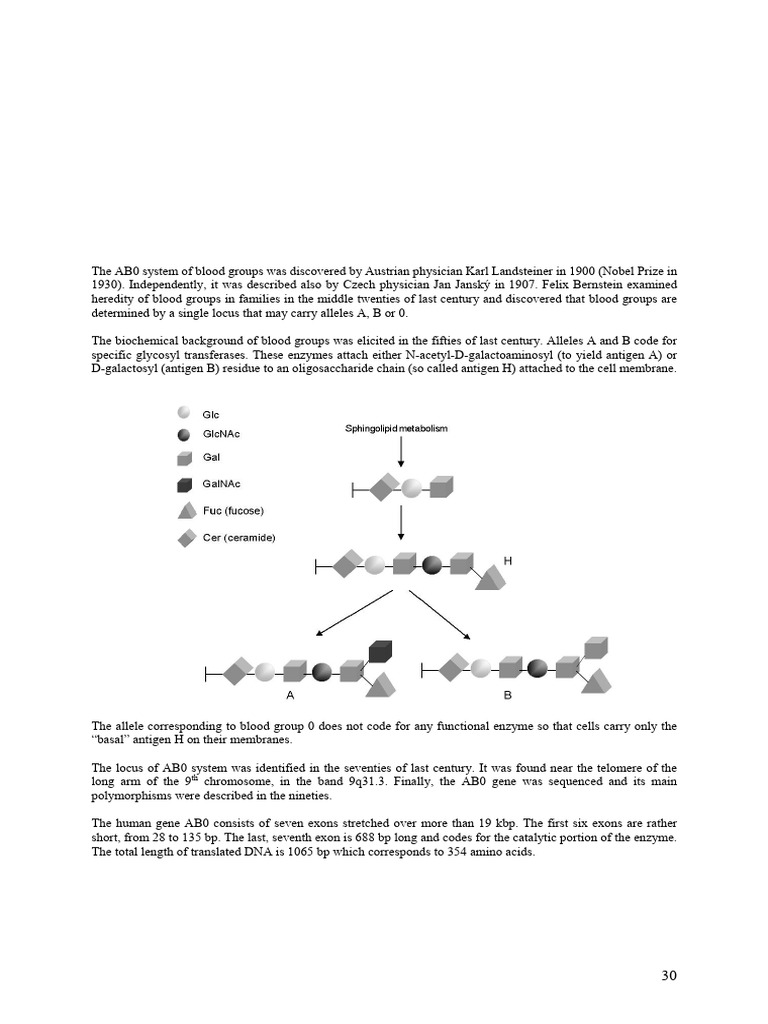 Dna Diagnostics Theory | PDF | Polymerase Chain Reaction | Primer (Molecular Biology)