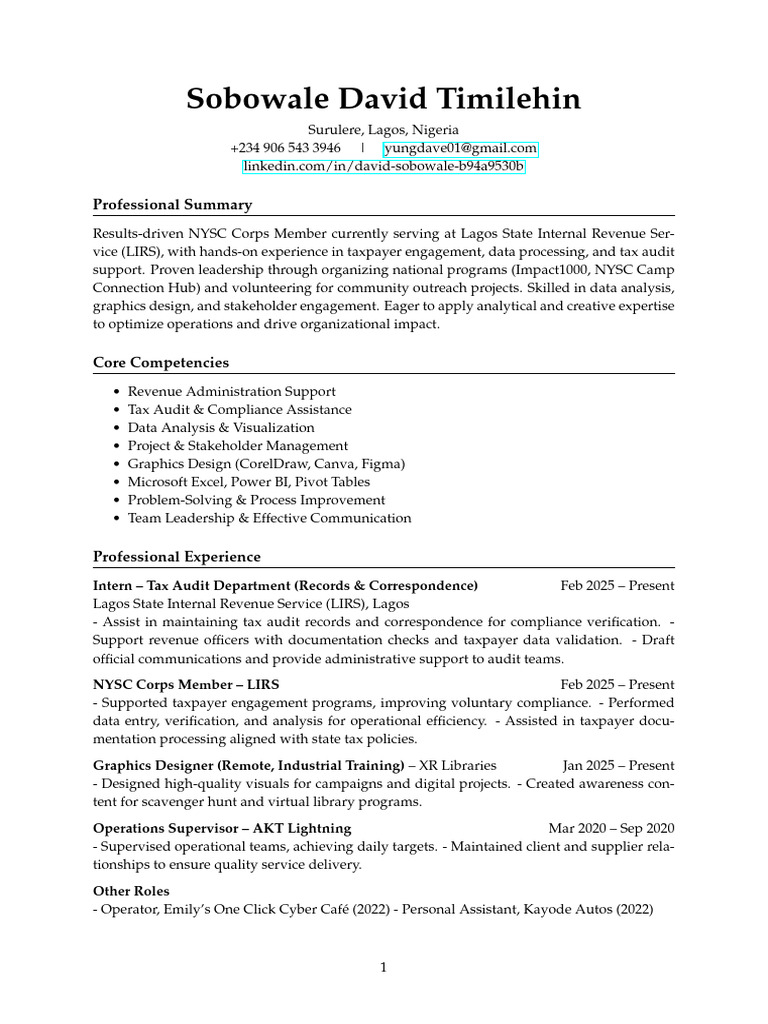 Sobowale David Timilehin Resume | PDF | Microsoft Excel | Computing