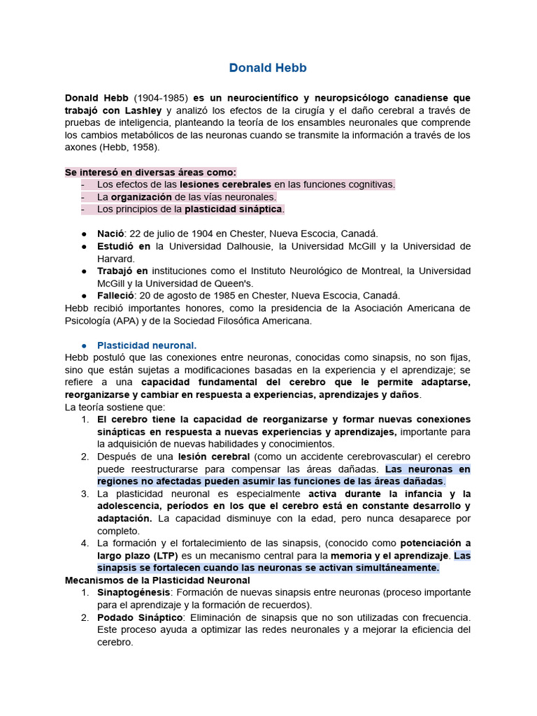 Teoría de Hebb y Plasticidad Neuronal | PDF | Sinapsis | Neurona