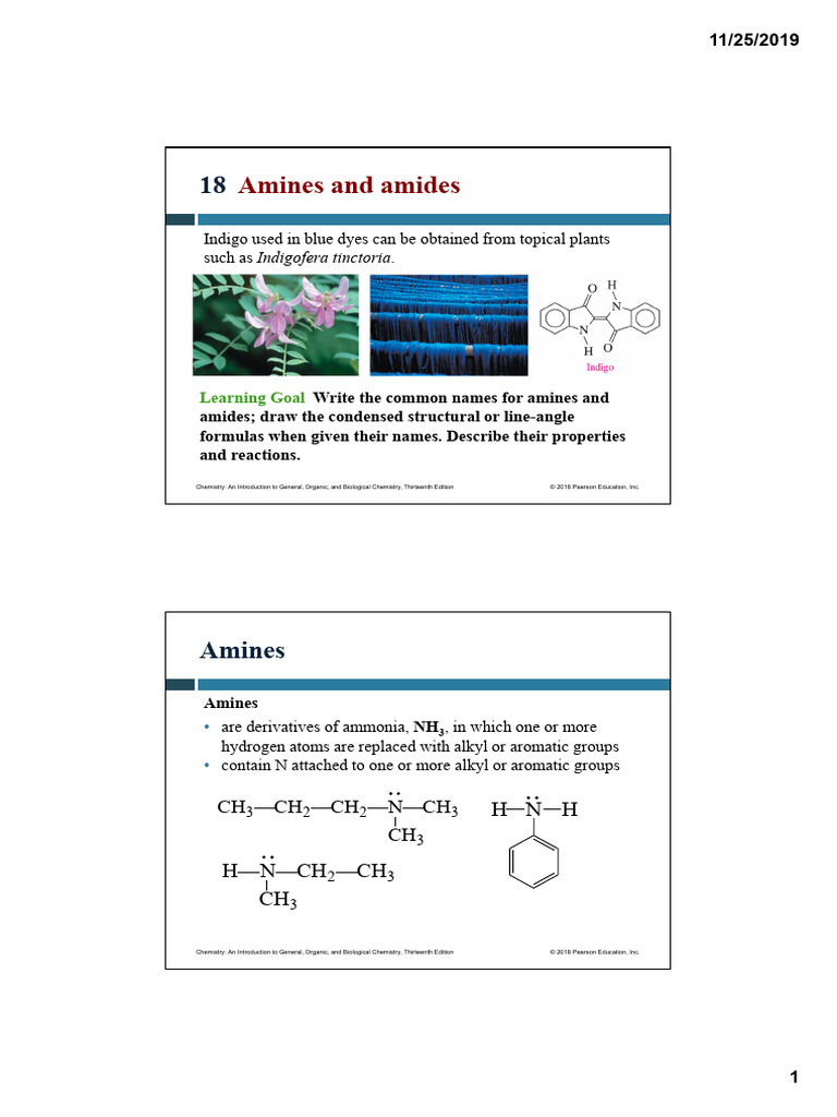 Chapter 18 - Amines and Amides | PDF | Amine | Amide