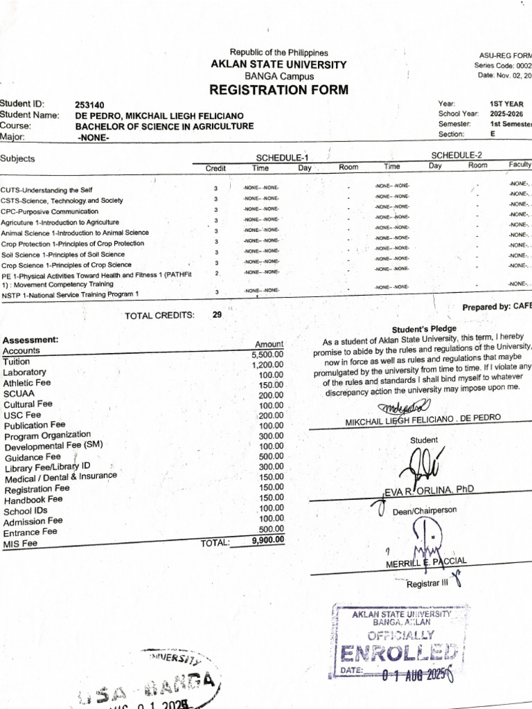 Bsa 1 de Pedro Mikchail Liegh F | PDF