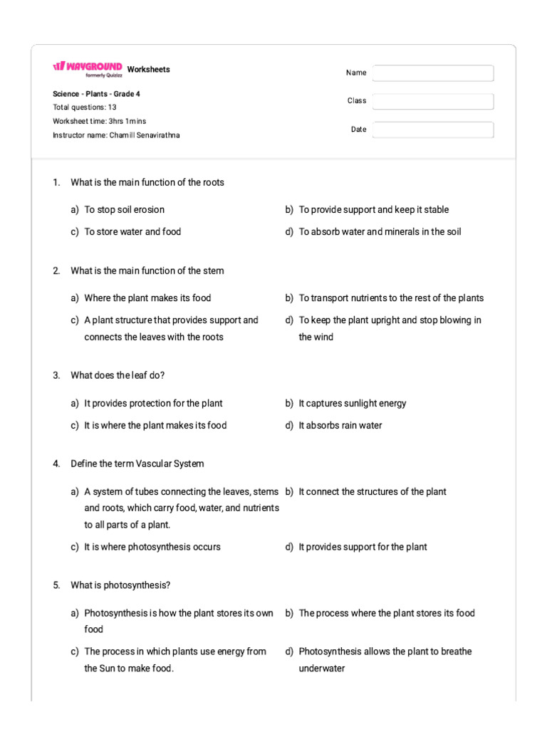 Grade 4 Plant Science Worksheets | PDF | Plants | Leaf