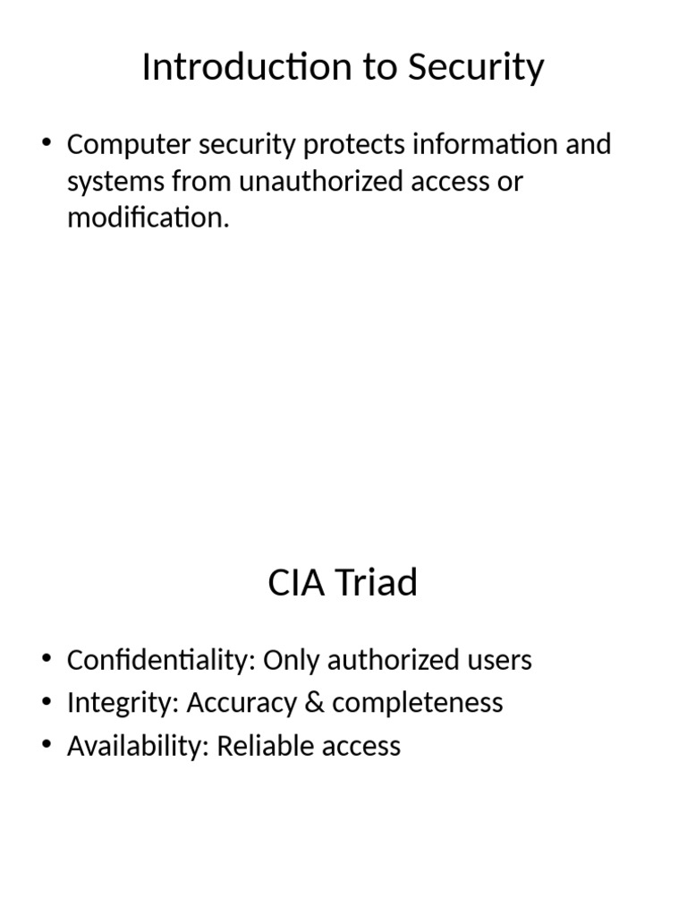 Computer Security Basics | PDF