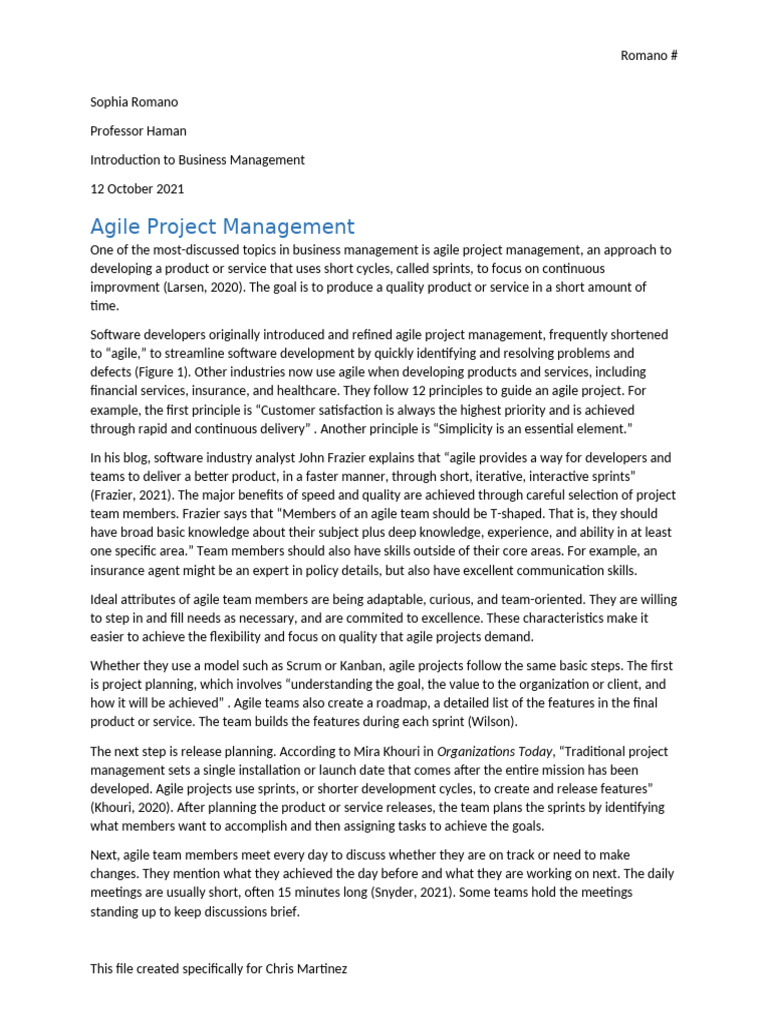 IL WD365 2021 2b ChrisMartinez 2 | PDF | Agile Software Development ...